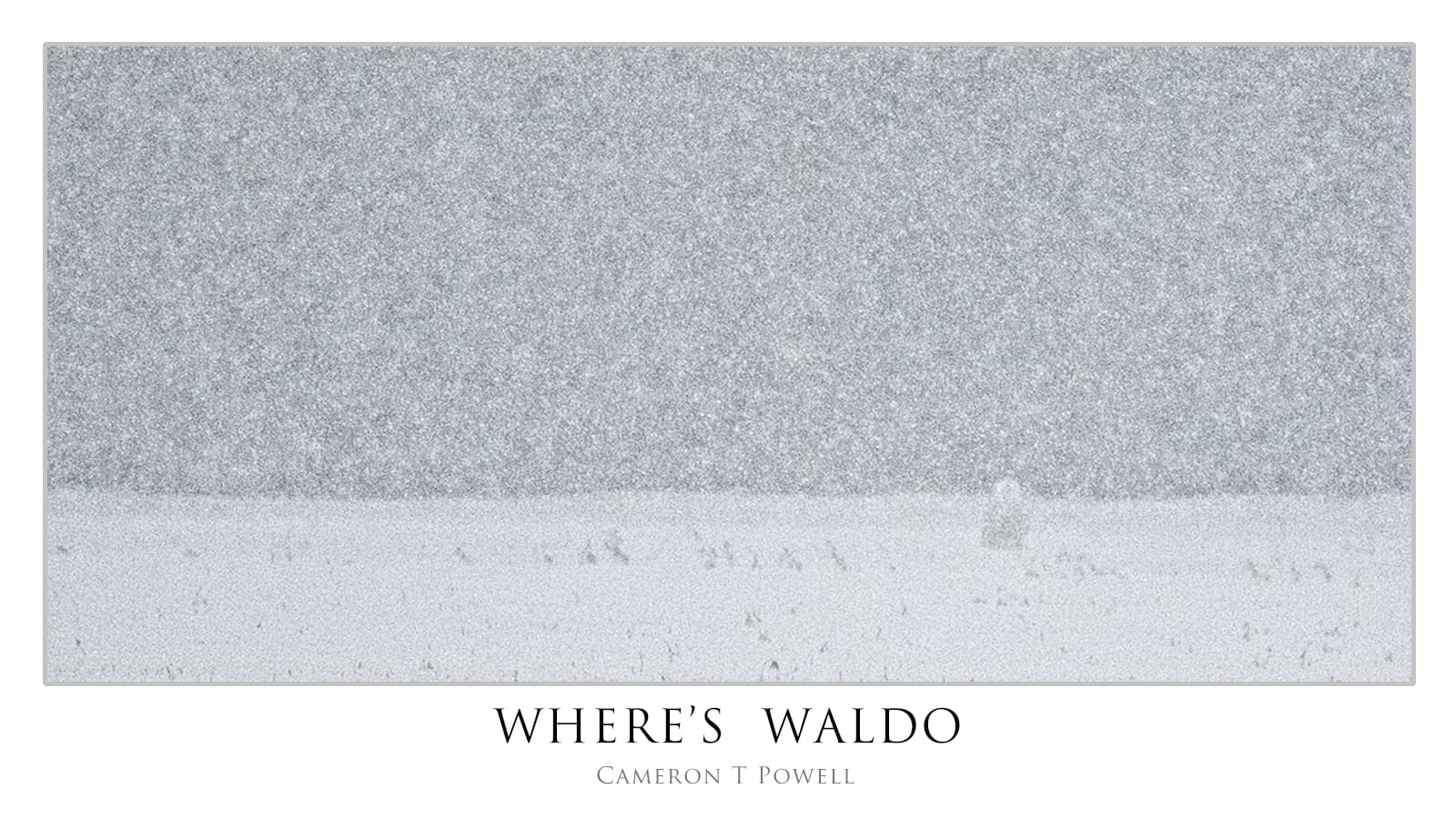 WHERE’S WALDO – CAMERON T. POWELL PHOTOGRAPHY